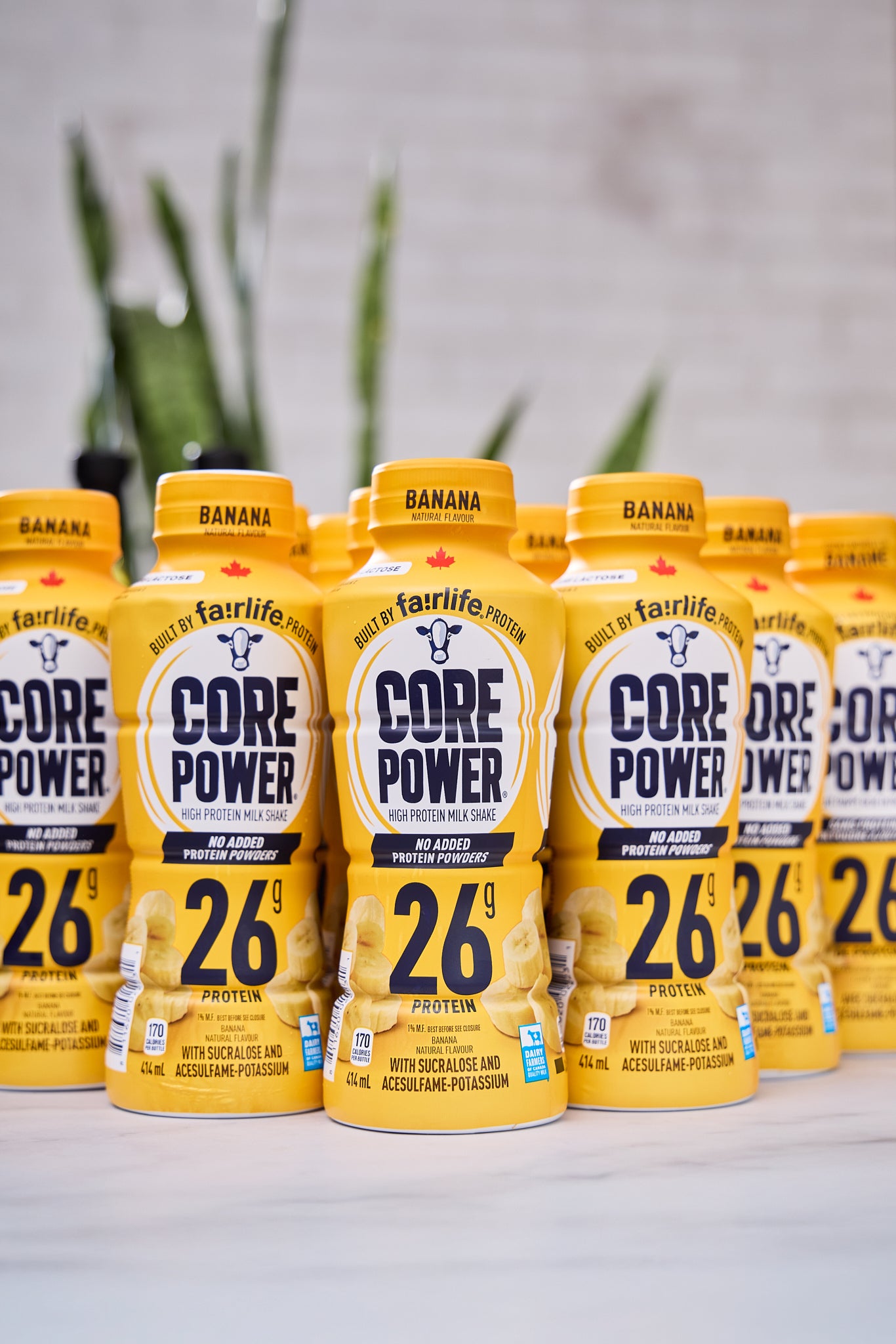 Core Power Banana - Fairlife 26g High Protein Shake (12 Pack) – Easy Mealz
